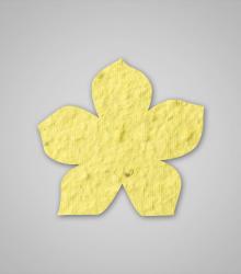 Ready-To-Ship Seed Paper Shapes