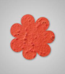 Ready-To-Ship Seed Paper Shapes